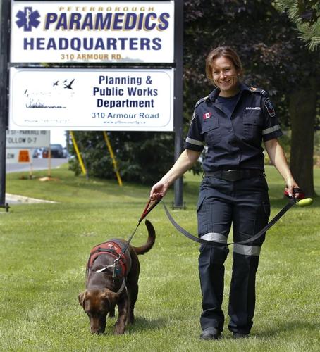 Charlie, Peterborough County’s newest hire, helps local paramedics open ...