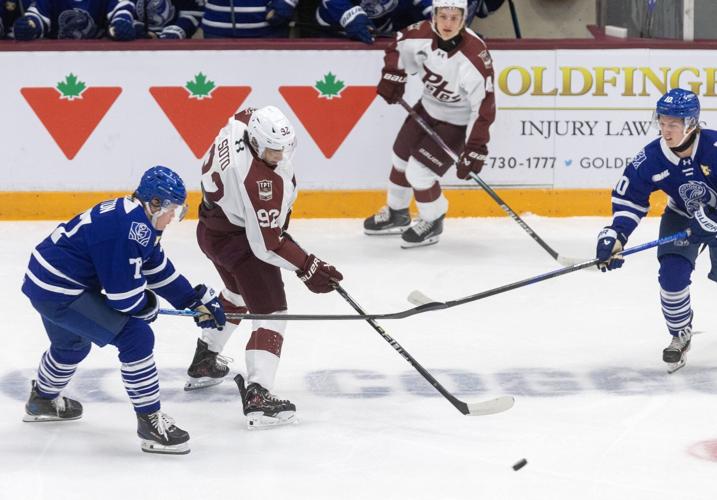 Petes win home opener in front of sold out crowd