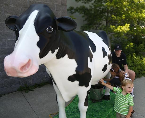 Photos: Ennismore Shamrock Festival celebrates traditions and heritage