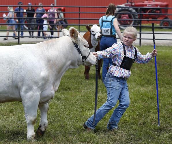 Photos: Fun at the Millbrook Fair