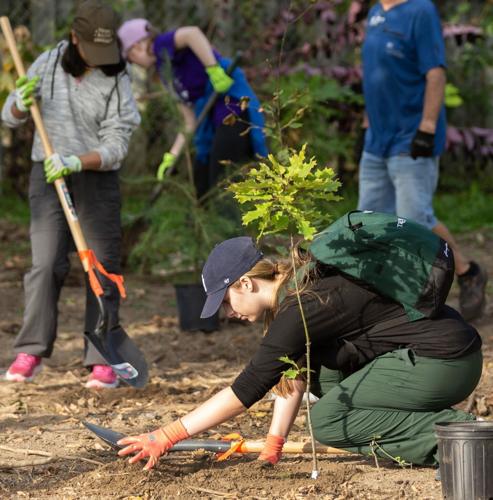 City tree planting event held at Kiwanis Community Park