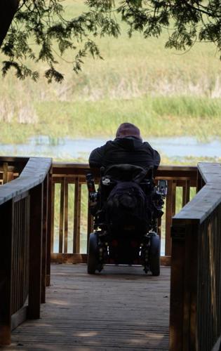 New accessible viewing platform in Ken Reid Conservation area ...