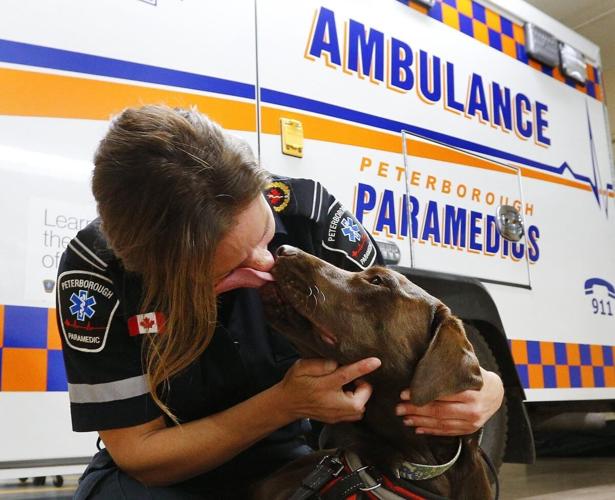 Charlie, Peterborough County’s newest hire, helps local paramedics open ...