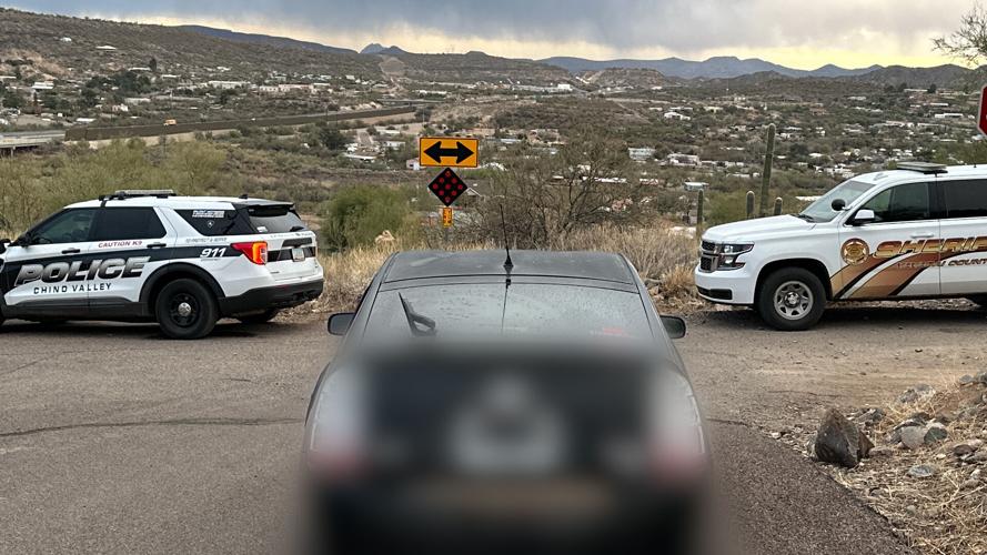 YCSO SWAT Team Captures Armed Suspect After Black Canyon City Manhunt ...