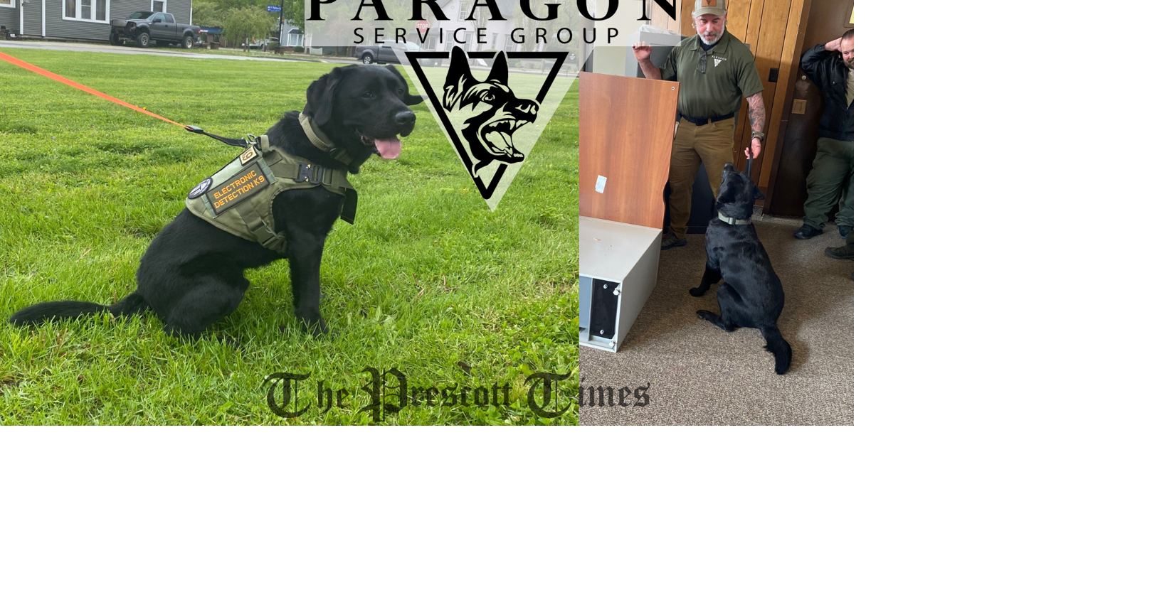 Electronic Scent Detection (ESD) Canine Sniffs Out Predators | Local ...