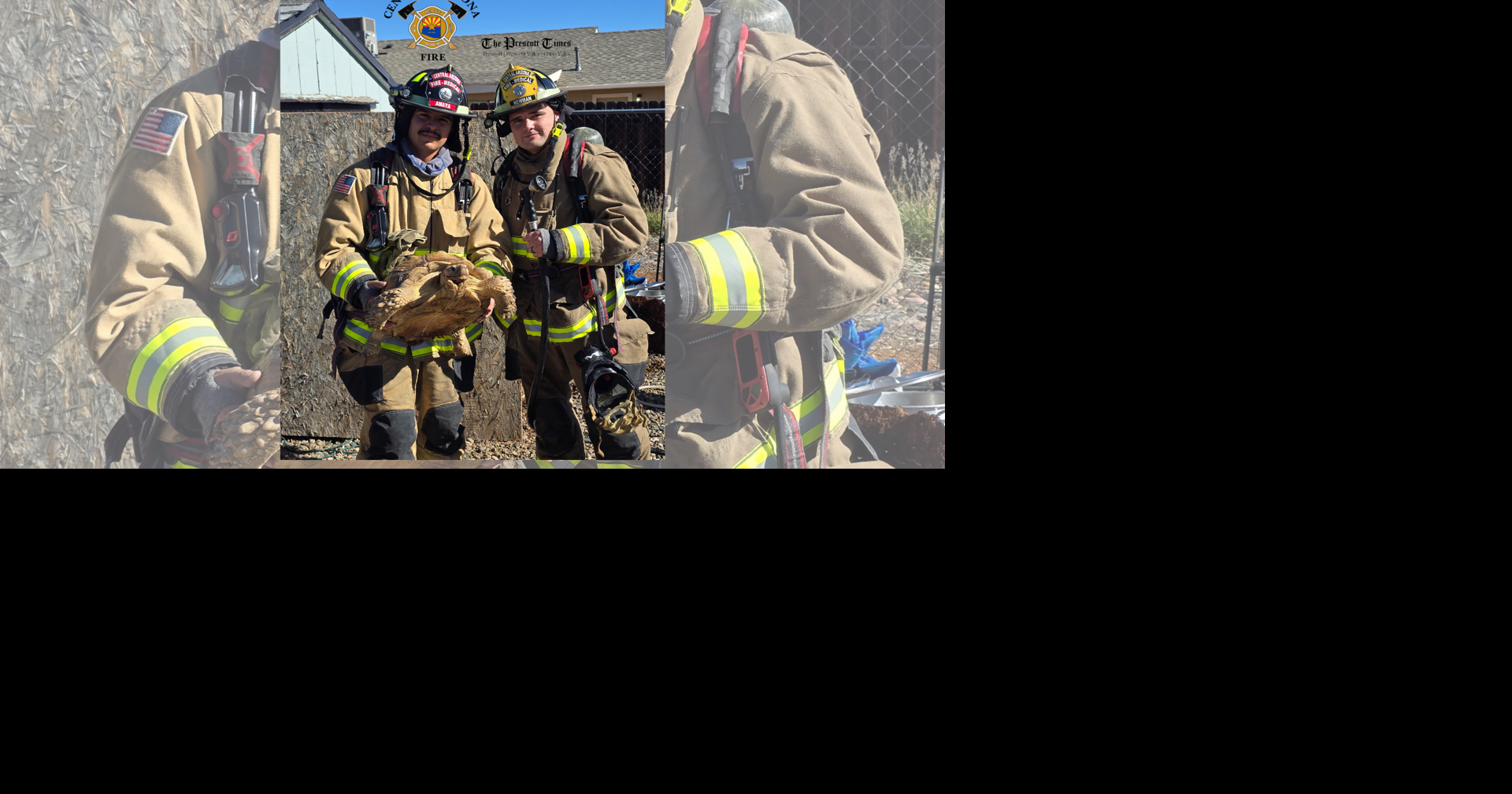 CAFMA Rescues Pet Tortoise From Smoke-Filled Shed, Urges Heat Lamp Fire ...