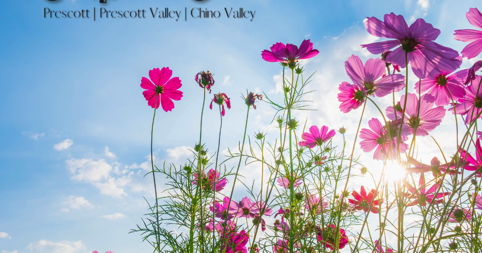 10 Reasons why Spring is Awesome in Prescott, AZ | Lifestyles ...