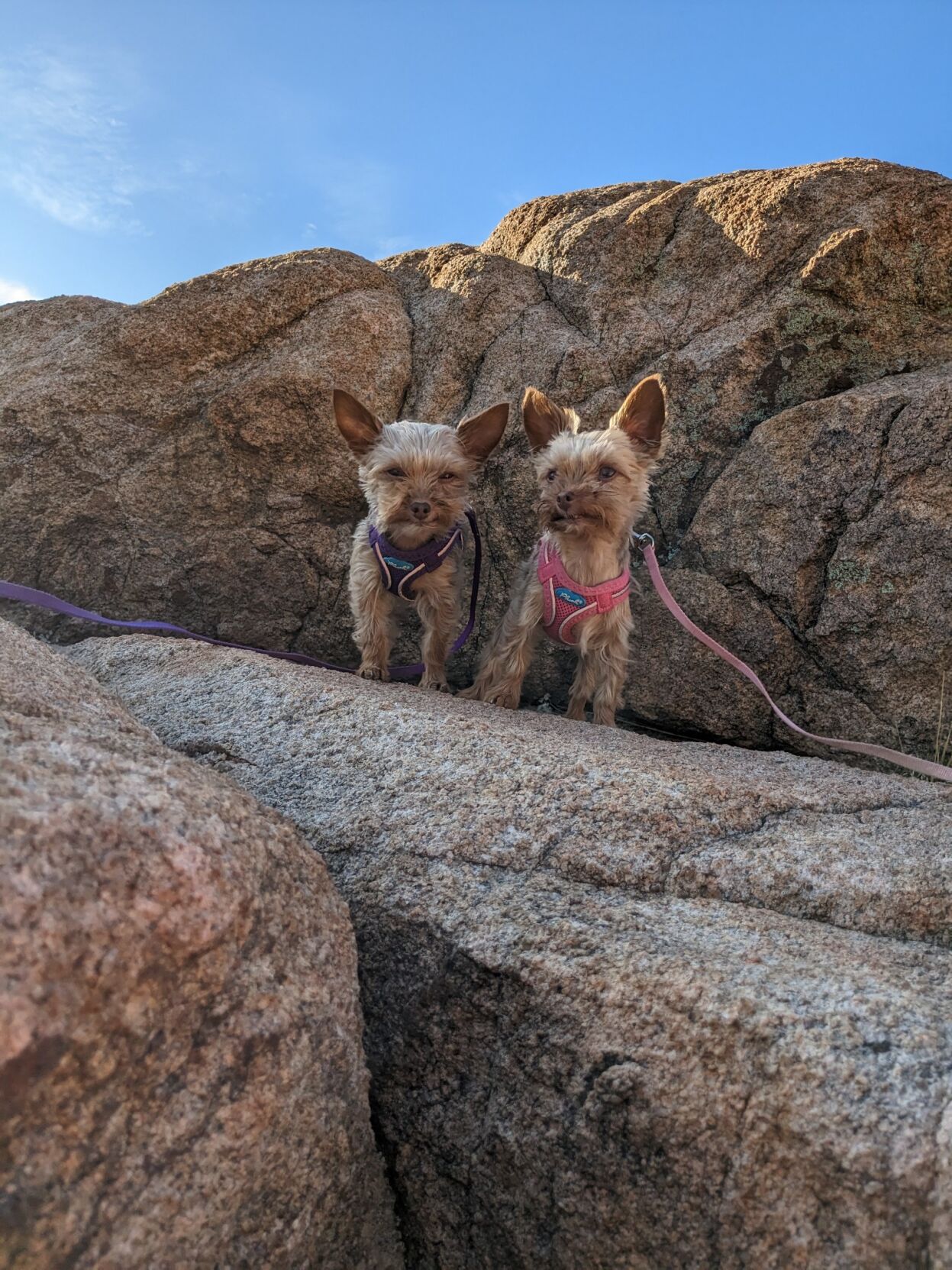 Lost Hiker Rescued!! | Local News | theprescotttimes.com