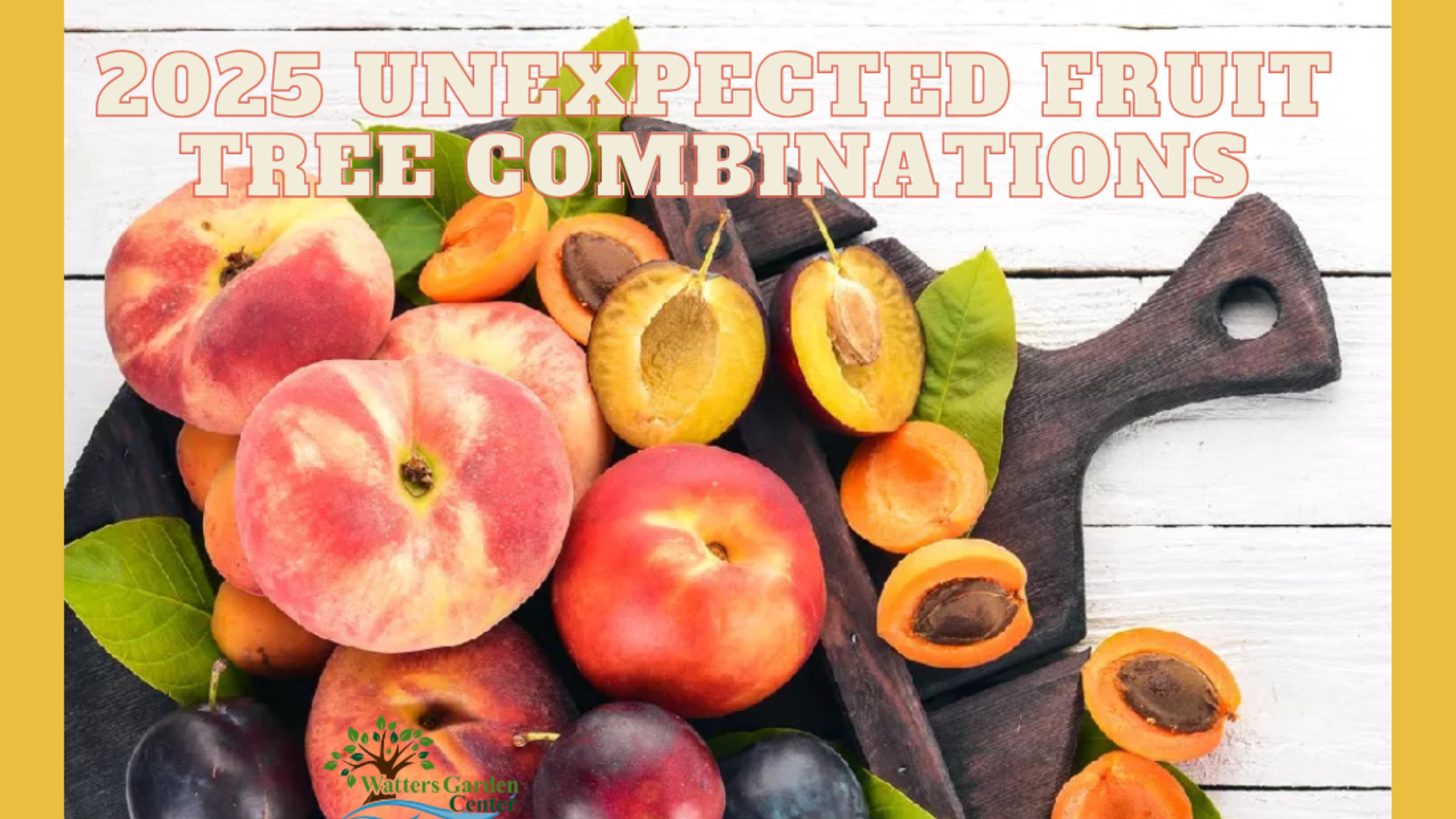 Fruit Cocktail Trees: The Hottest Trend for 2025 Gardens | Prescott ...