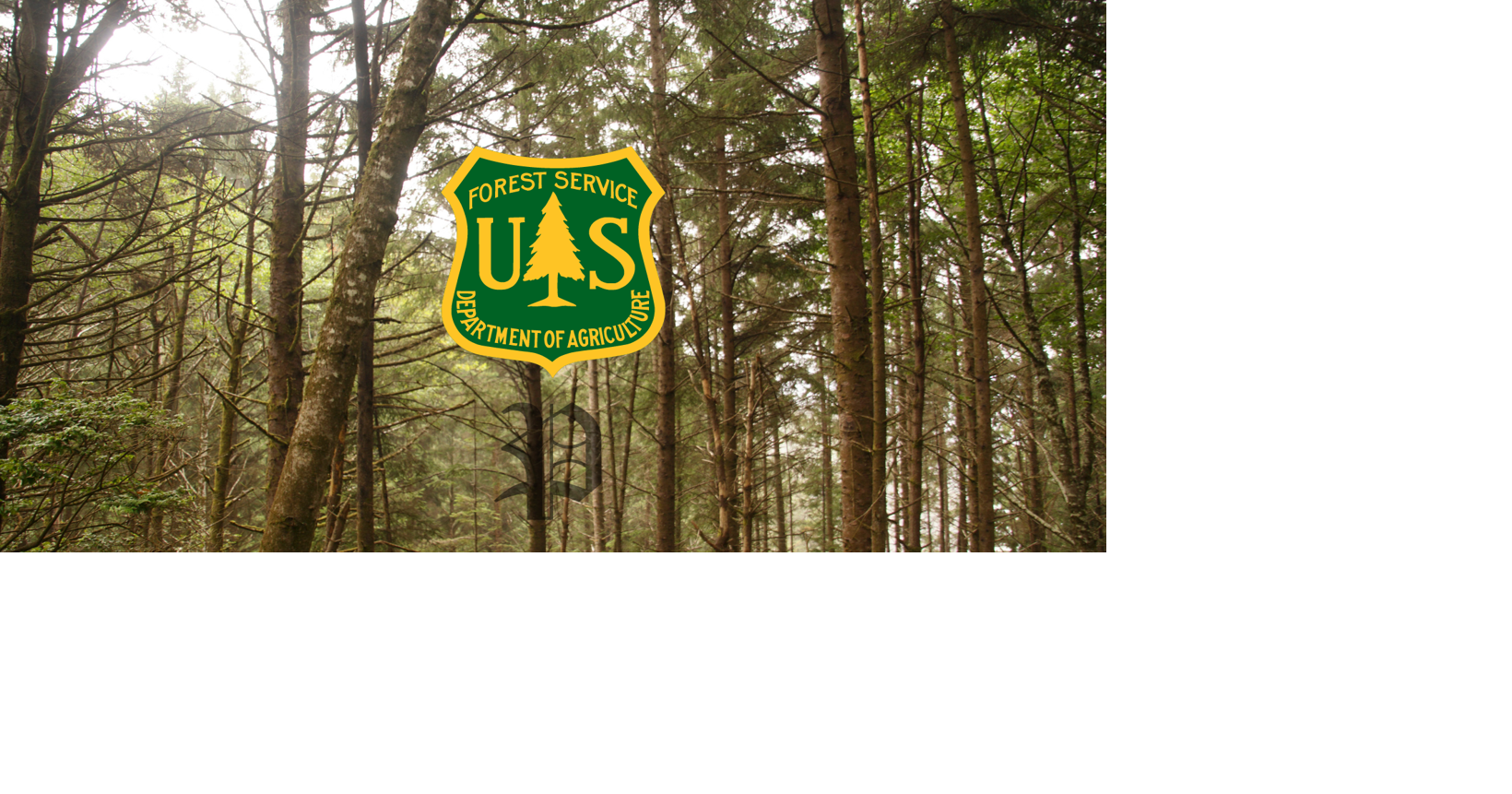 Mesa prescribed fire planned on Clifton Ranger District | Prescott ...