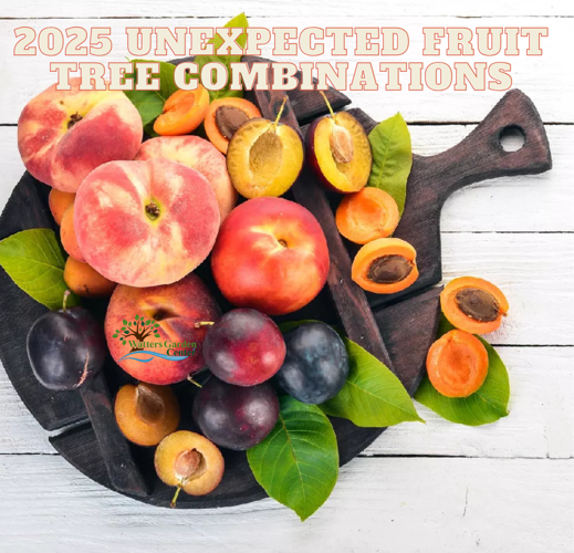 Fruit Cocktail Trees: The Hottest Trend for 2025 Gardens | Prescott ...