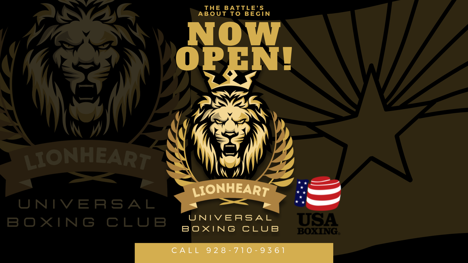 Lionheart Universal Boxing Gym Brings USA Boxing Certification to Prescott | Business ...