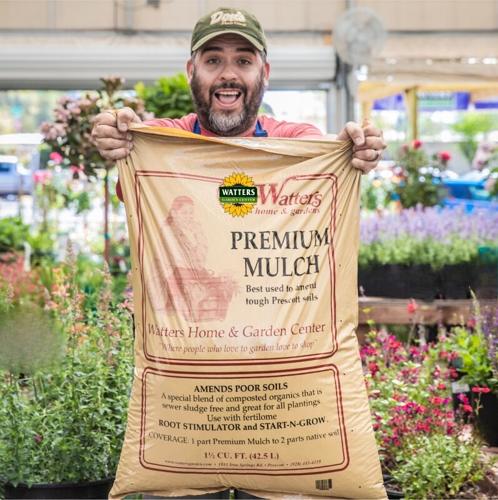 Top 10 Fast-Growing Trees for Quick Shade and Beauty in Prescott ...