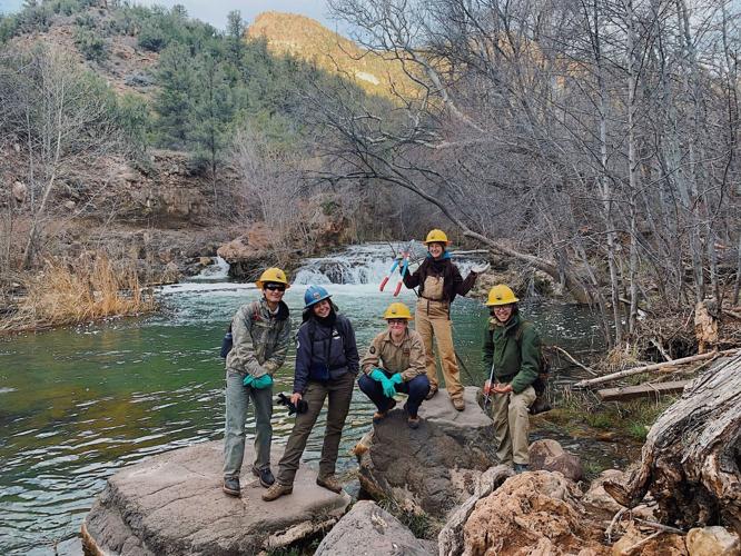 Friends of the Verde River Completes Invasive Plant Removal Along ...