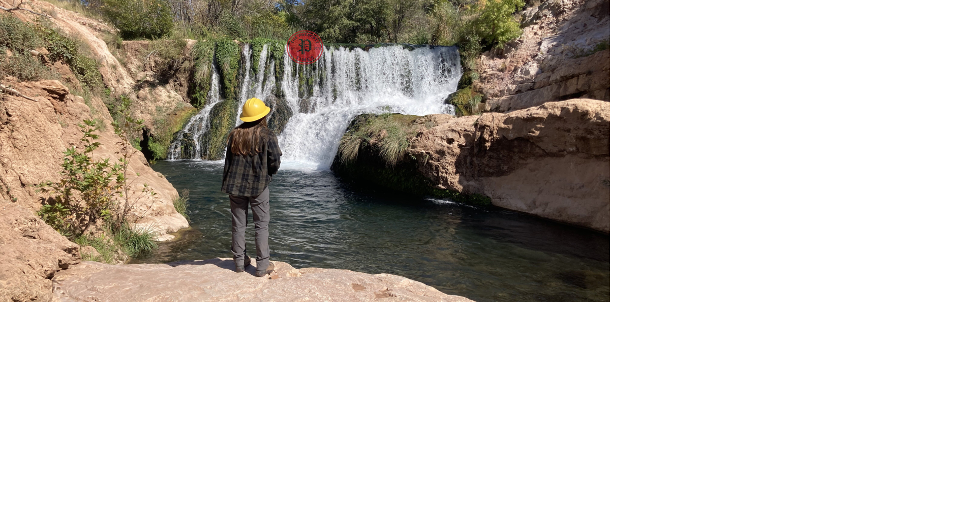 Friends of the Verde River Completes Invasive Plant Removal Along ...