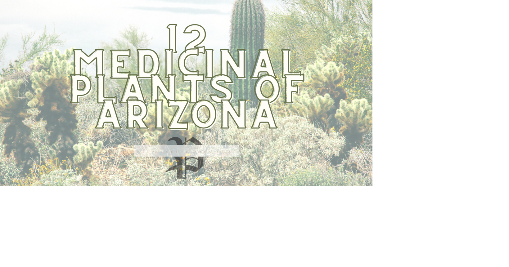 Discovering Arizona's Medicinal Heritage: Top 12 Plants Used by Yavapai ...