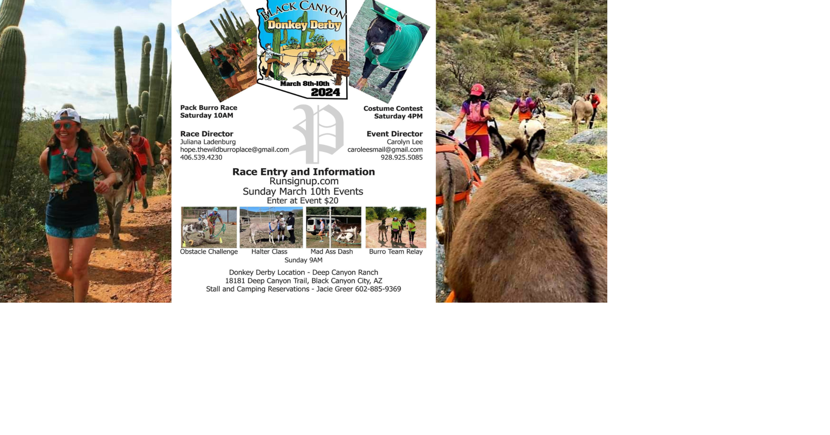 donkey derby challenges