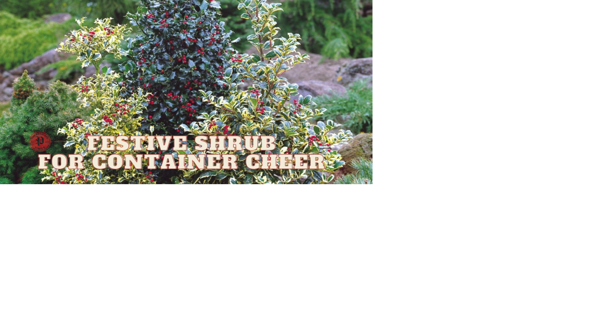 Deck the Halls with Holly: Festive Container Gardening Ideas from ...