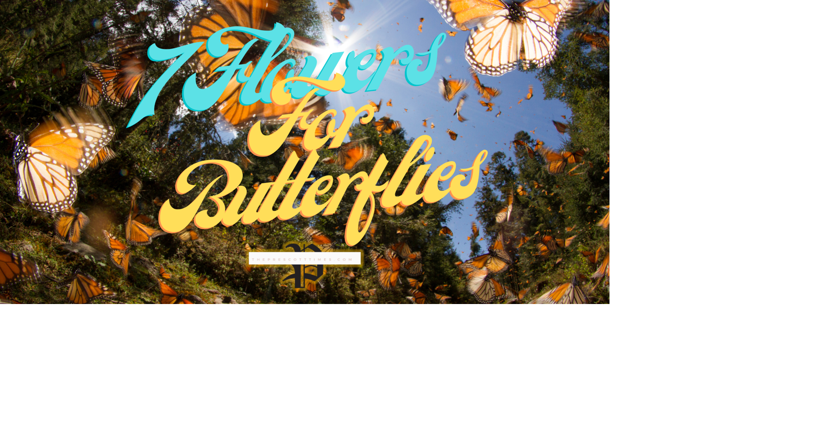 Create Your Very Own Butterfly Wonderland In Your Garden - 7 Flowers ...