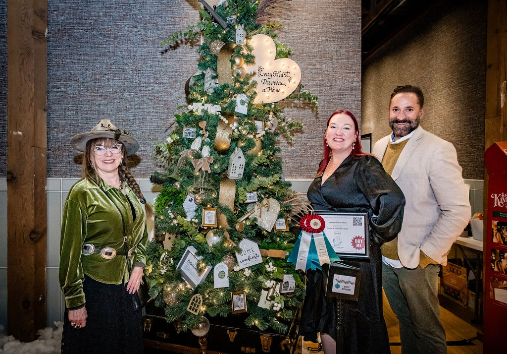 Festival of Trees Prescott Draws 3,200 Attendees, Sells Out All Trees ...