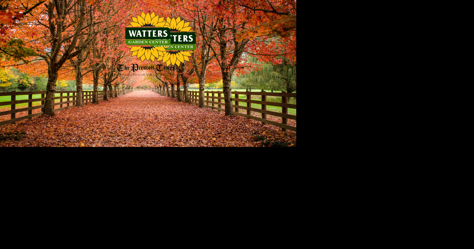 Transform Your Garden for Fall: Watters Garden Center Shares Expert ...