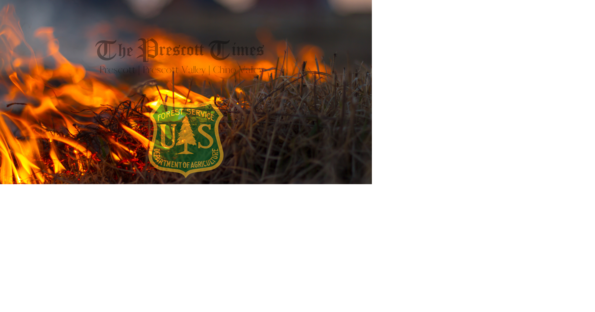 Lightning-Caused Duck Lake Fire Discovered in Springerville: Currently ...