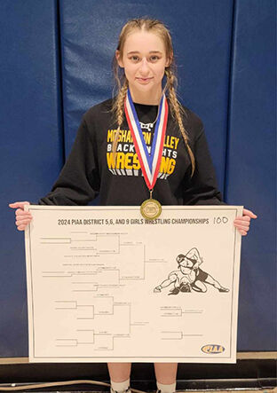 DuVall, Shoff win district titles, Progressland advances 20 to ...