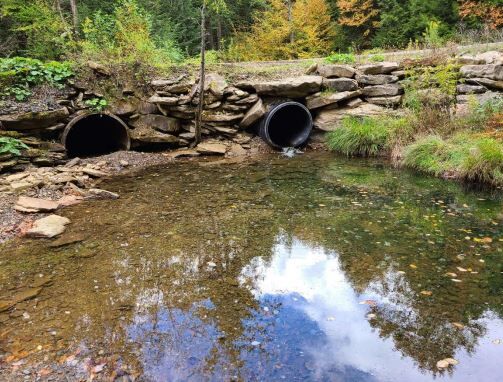 Culvert replacement project opens up 3 miles of upstream aquatic ...