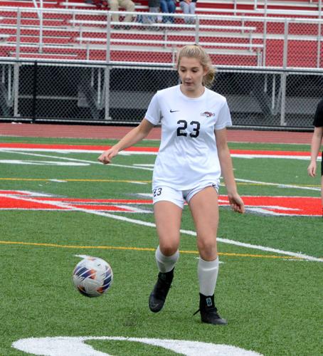 Lady Bison fall in PIAA quarters | Sports | theprogressnews.com