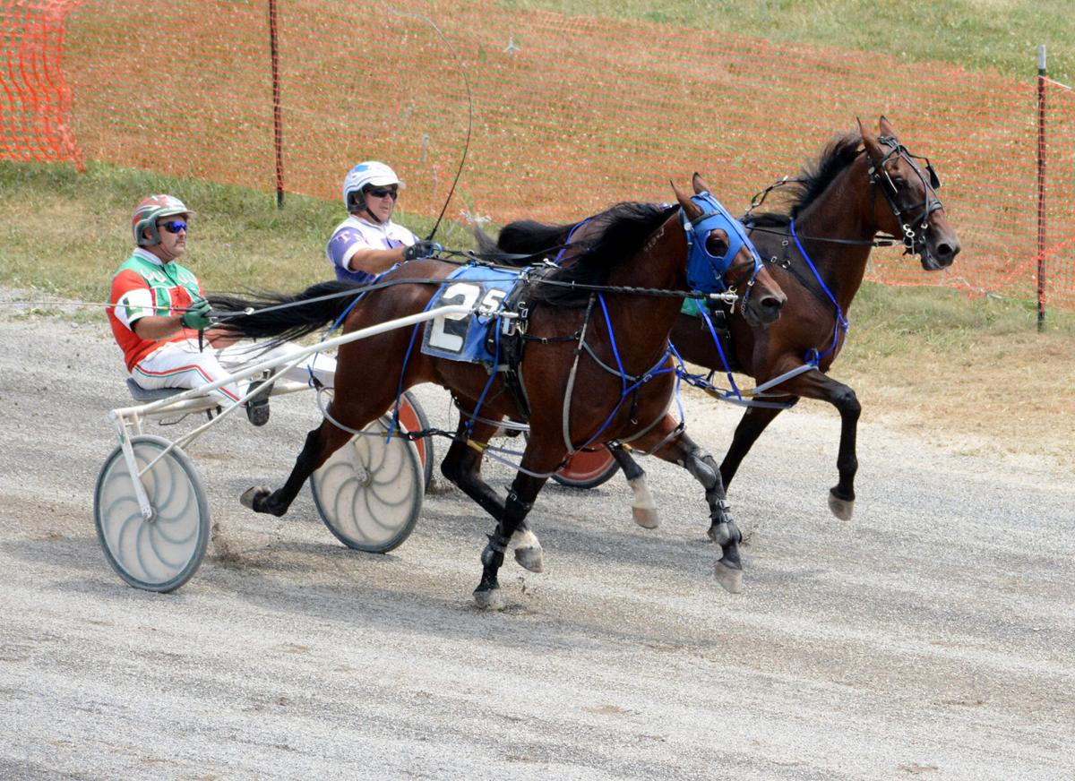 harness racing fields
