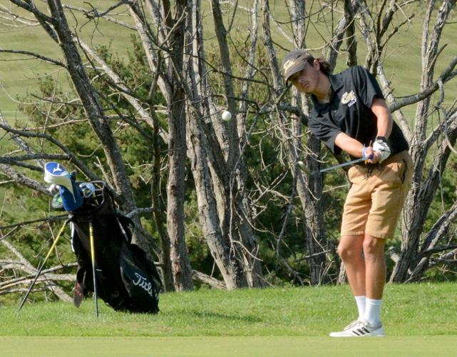 Curwensville boys golf downs Brookville by four strokes | Sports ...
