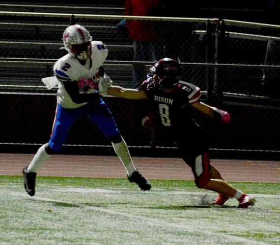Bison roll over Richland 41-21 in Laurel Highlands showdown | Sports ...
