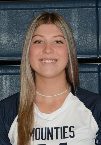 Four Progressland volleyball players named to PVCA all-state team ...