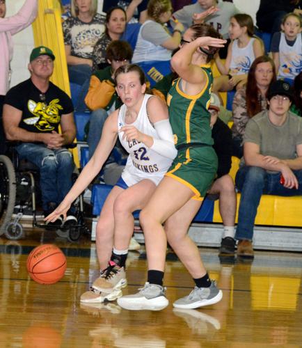 Lady Vikings fall in opening round of District 6 playoffs | Sports ...