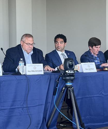 Kephart and Armanini hold conference on essential elements | Local ...