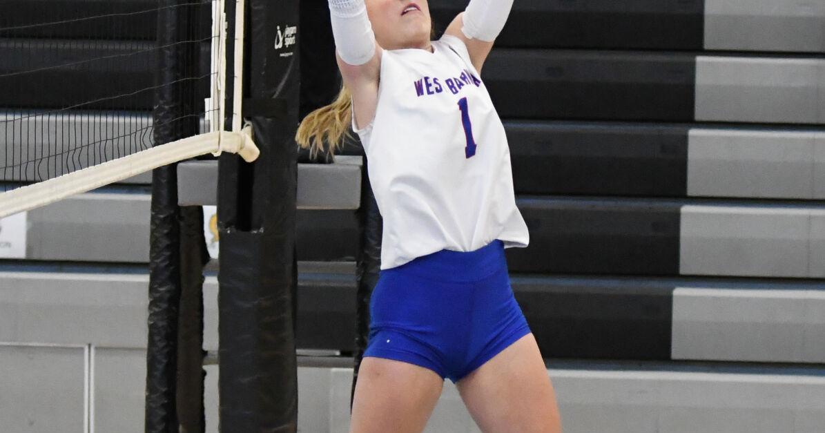 2024 Progressland High School Volleyball All-Stars announced | Daily ...
