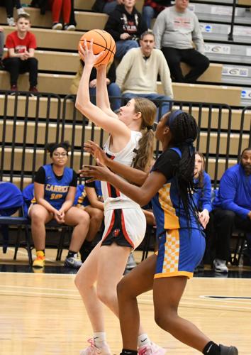 Lady Bison run past Carrick in District 8/9 subregional game | Sports ...