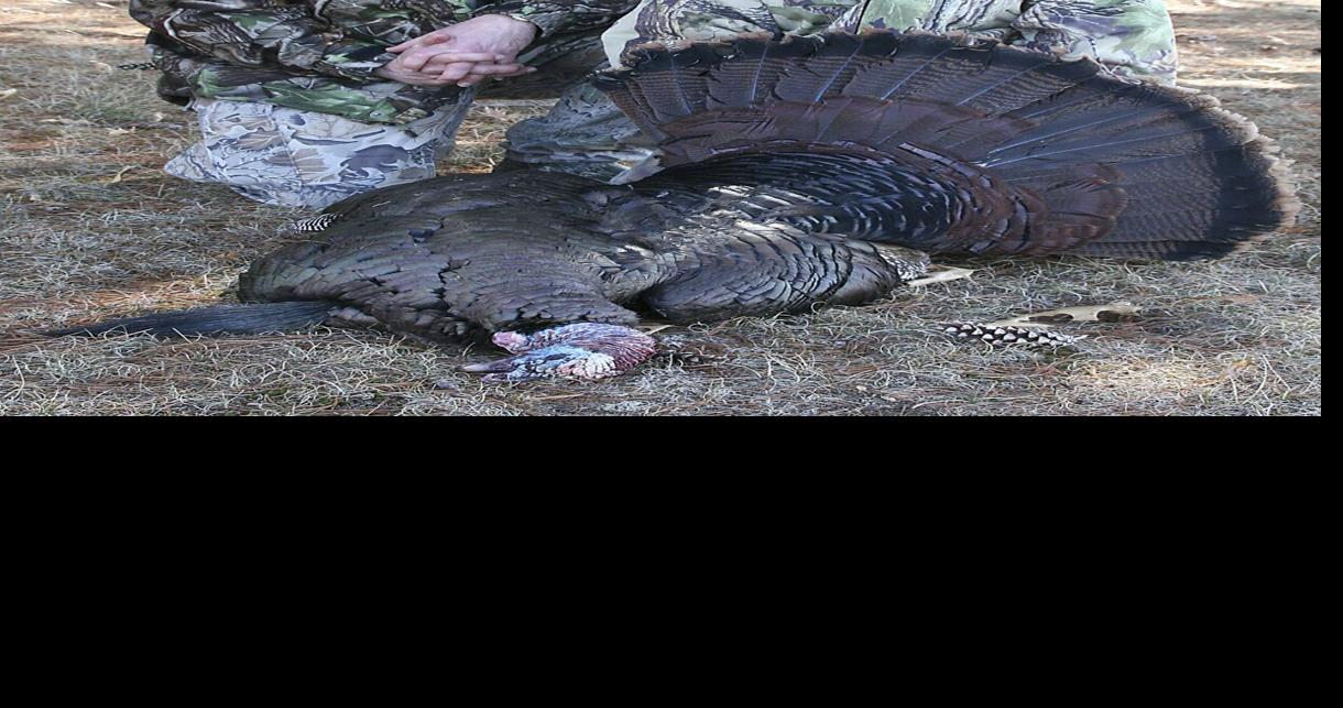 Hunter/Trapper education courses being offered online by PGC | | theprogressnews.com