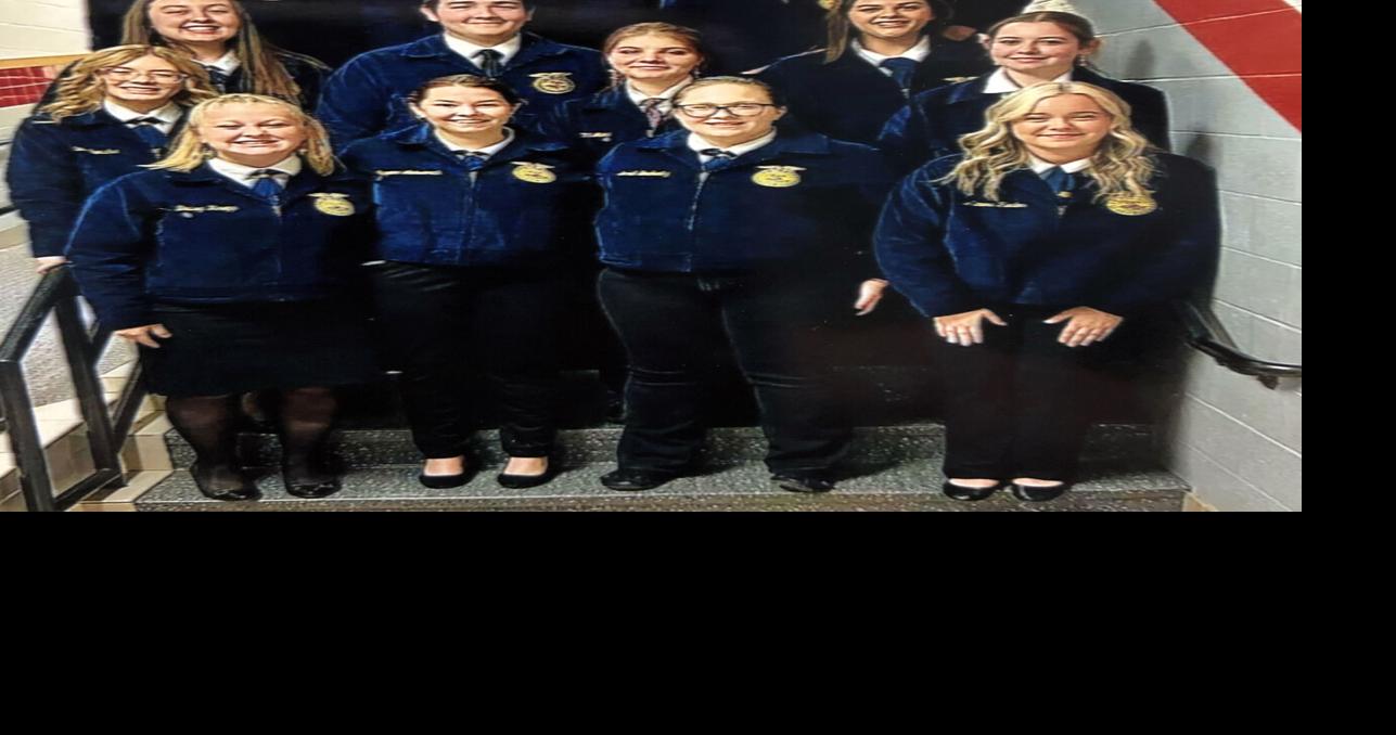 SKYBOX - News Teaser for A2 | News | theprogressnews.com