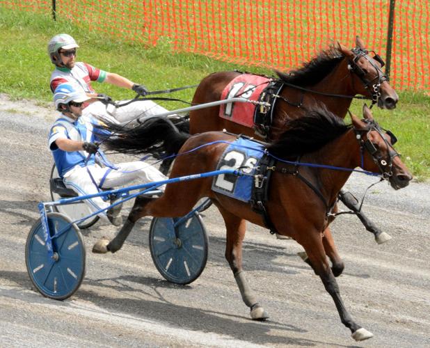 Brady Brown dominates on first day of harness racing | Sports ...