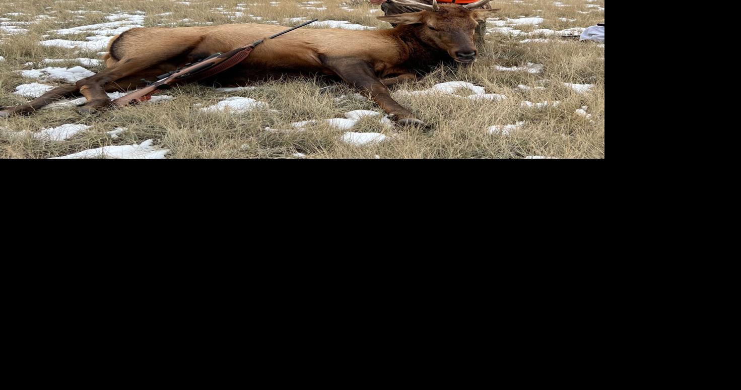 Bracken gets to meet grandfather's friends on trip of lifetime | Sports ...