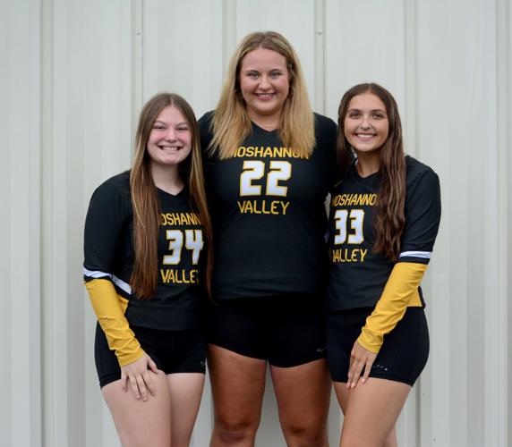 Progressland High School Volleyball Previews | | theprogressnews.com