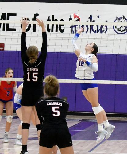 Lady Warriors headed back to state finals | Sports | theprogressnews.com