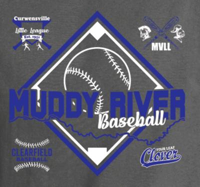 Area Little Leagues combining to form Muddy River Baseball Association ...