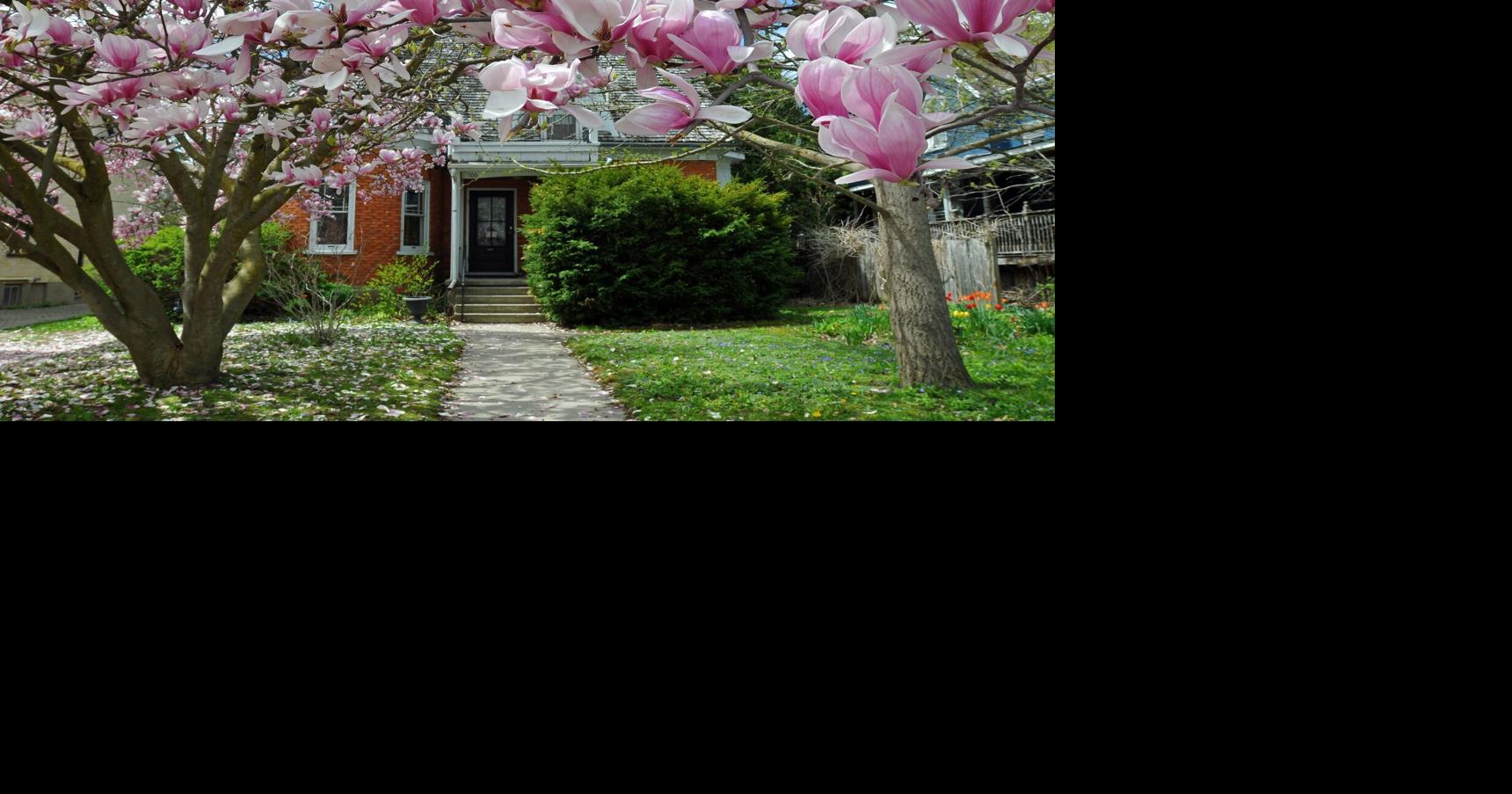 Waterloo Region Record morning update for May 14