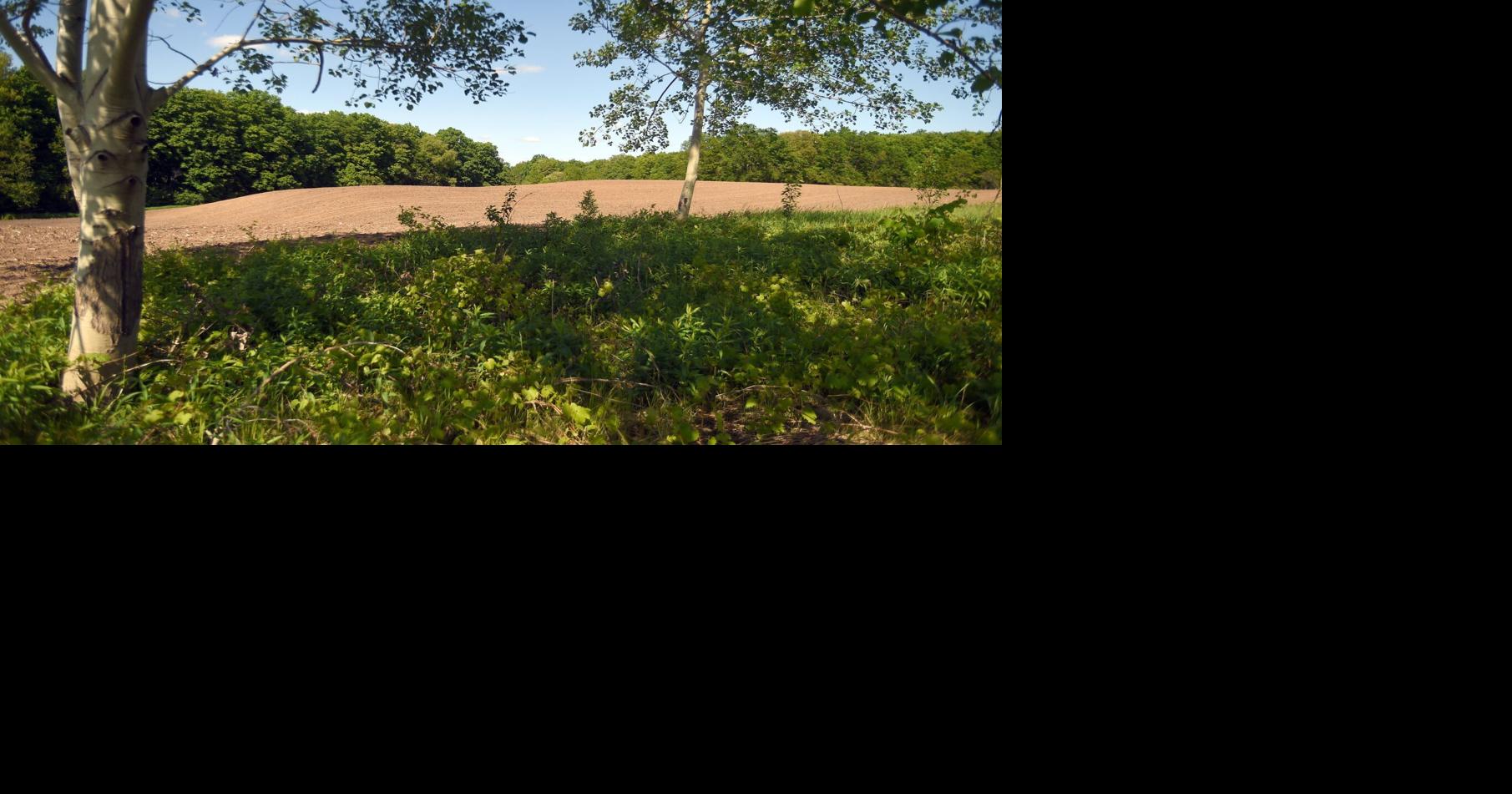 Planning changes approved for Kitchener’s Hidden Valley