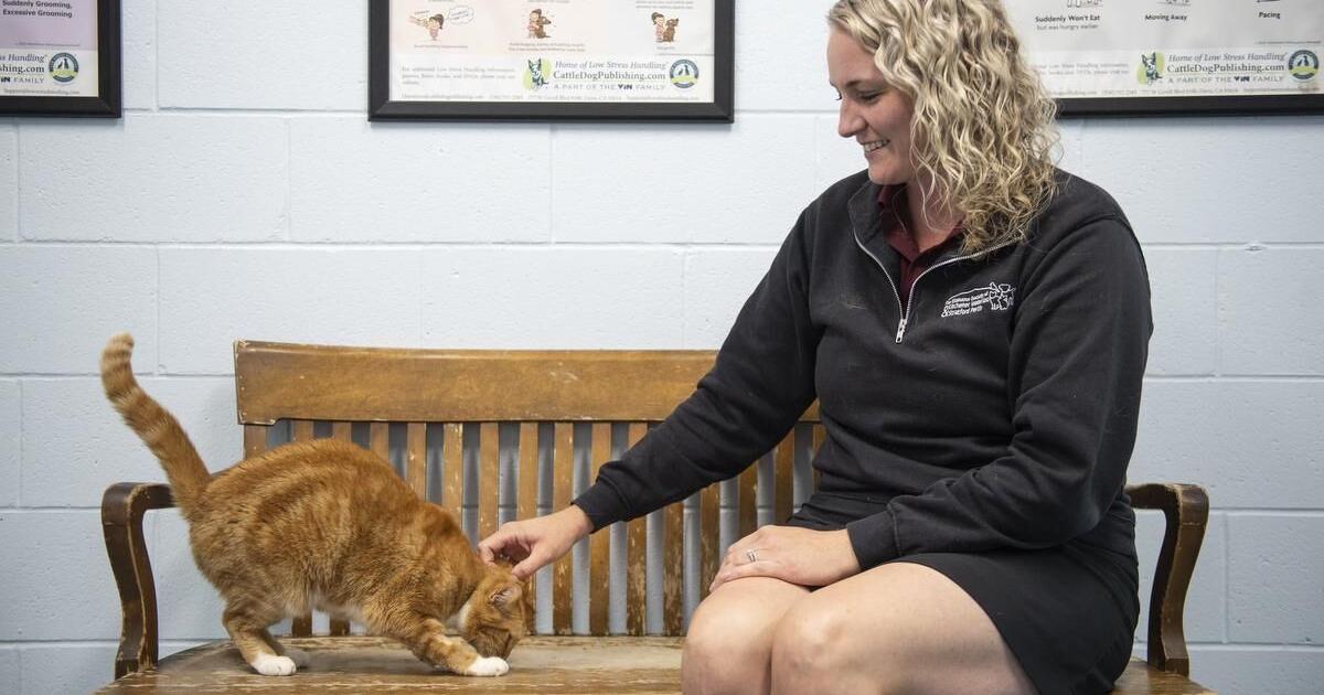 Kitchener-Waterloo Humane Society needs newspaper donations