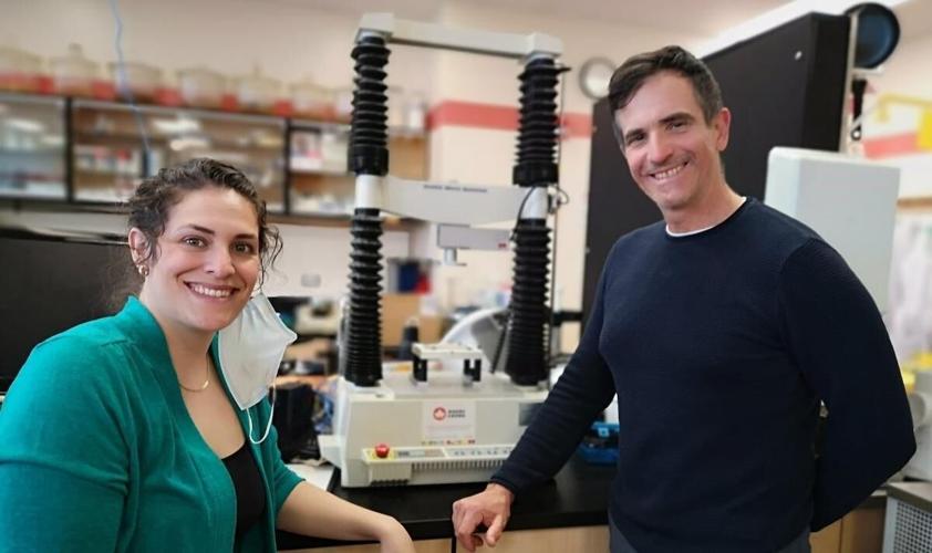 Waste corn protein gives ‘meaty’ texture to plant-based products ...
