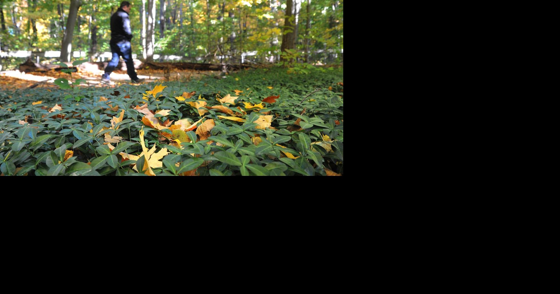 Explore outdoors in Waterloo Region