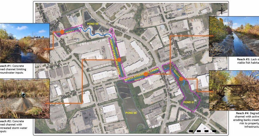 Kitchener creek work could limit erosion, help brook trout